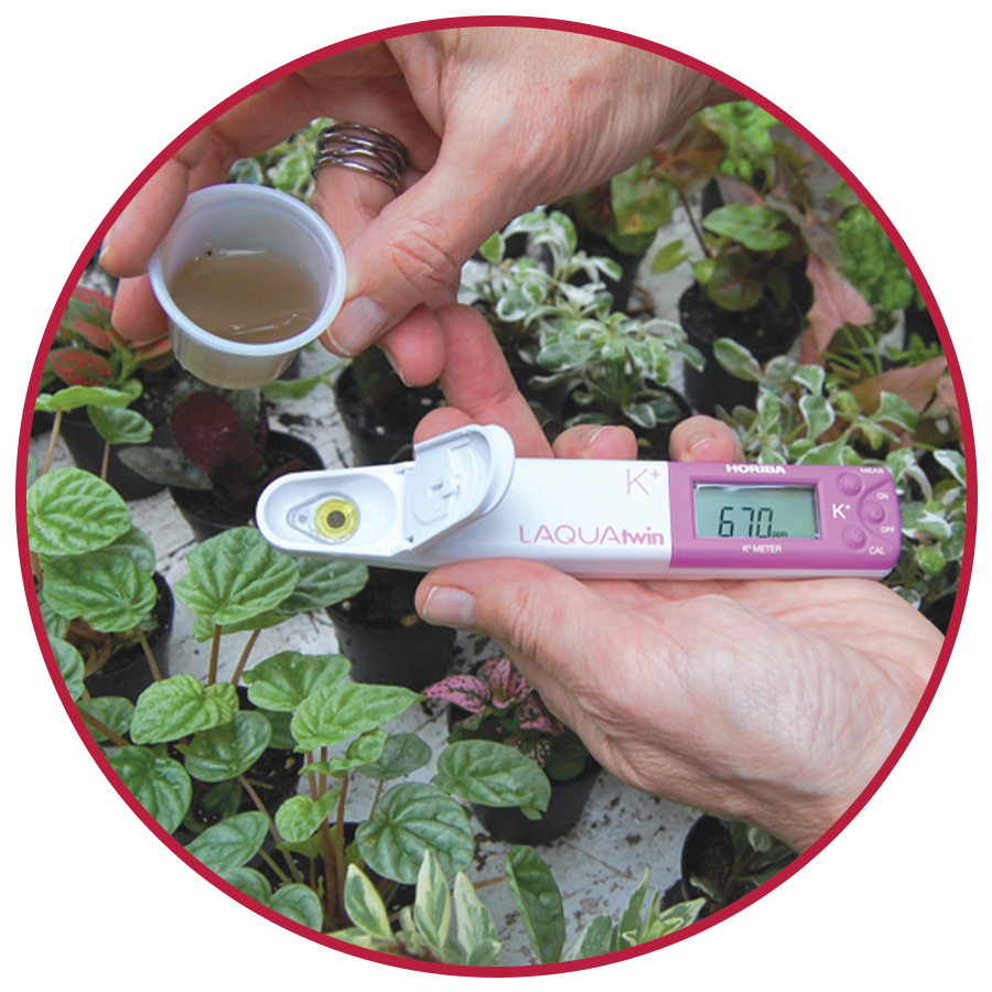 LAQUA Potassium (K+) Meter