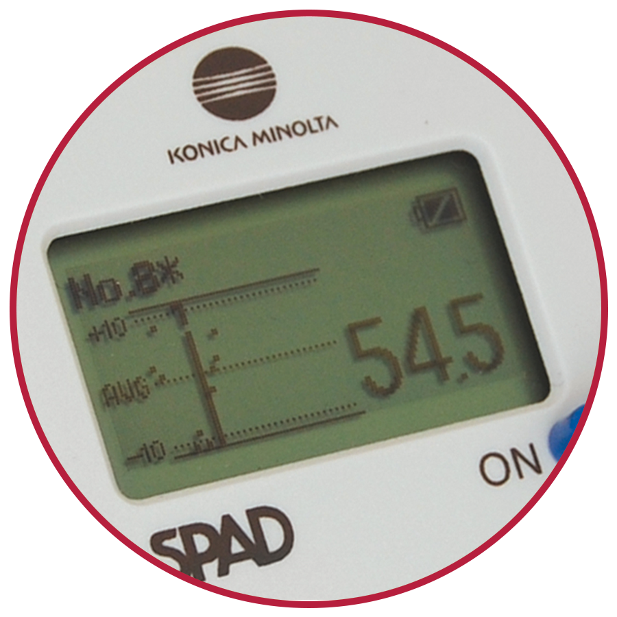SPAD Plus Chlorophyll Meter (Case Included)