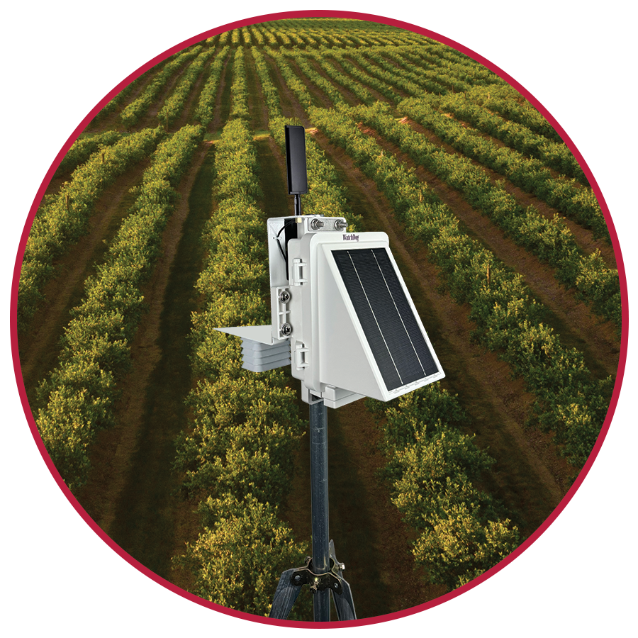 3000 Series - WatchDog Wireless Temp/RH Station (LTE-CAT4) (Temp, RH ...