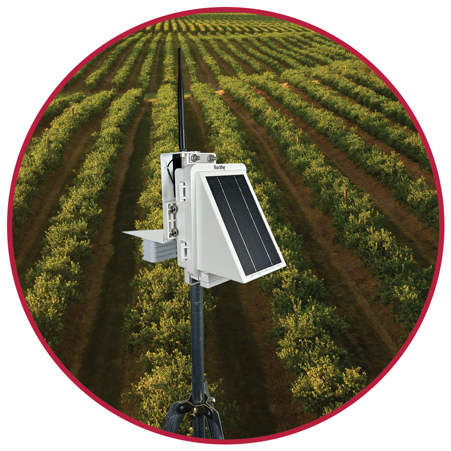 3000 Series - WatchDog Wireless Temp/RH Station (900MHz ...