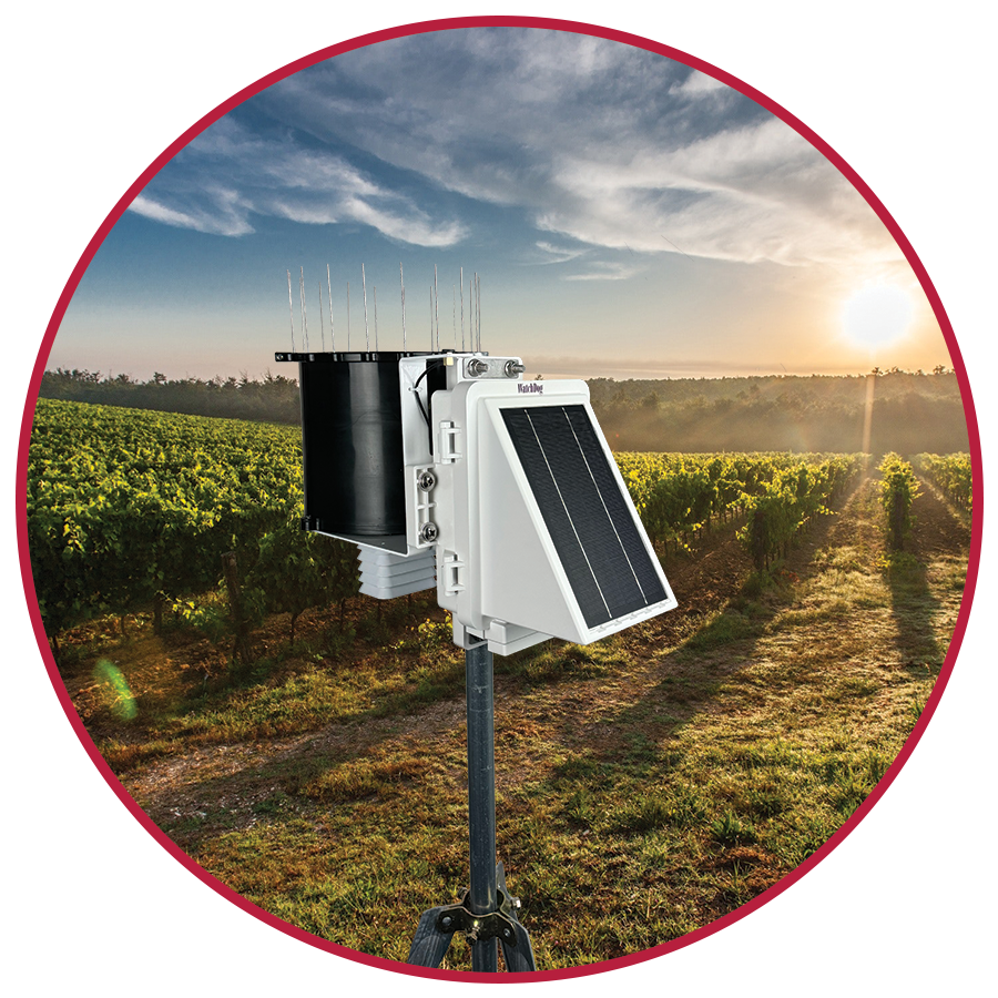 3000 Series - WatchDog Wireless Rain Station (Data Recorder - No Modem ...