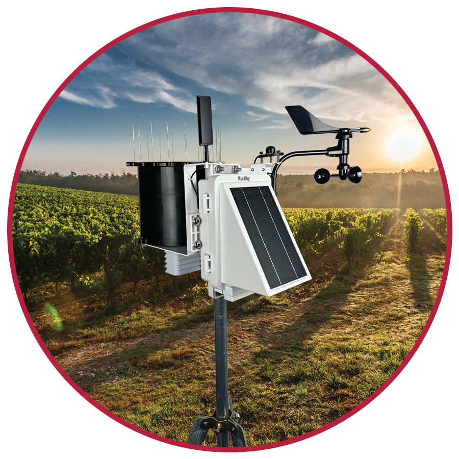 3000 Series - WatchDog Wireless ET Weather Station (LTE-M) (Temp, RH ...