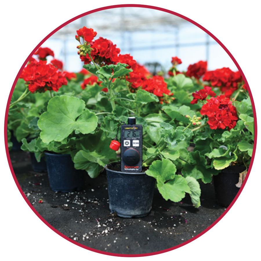 LightScout Quantum (PAR)/DLI Meter