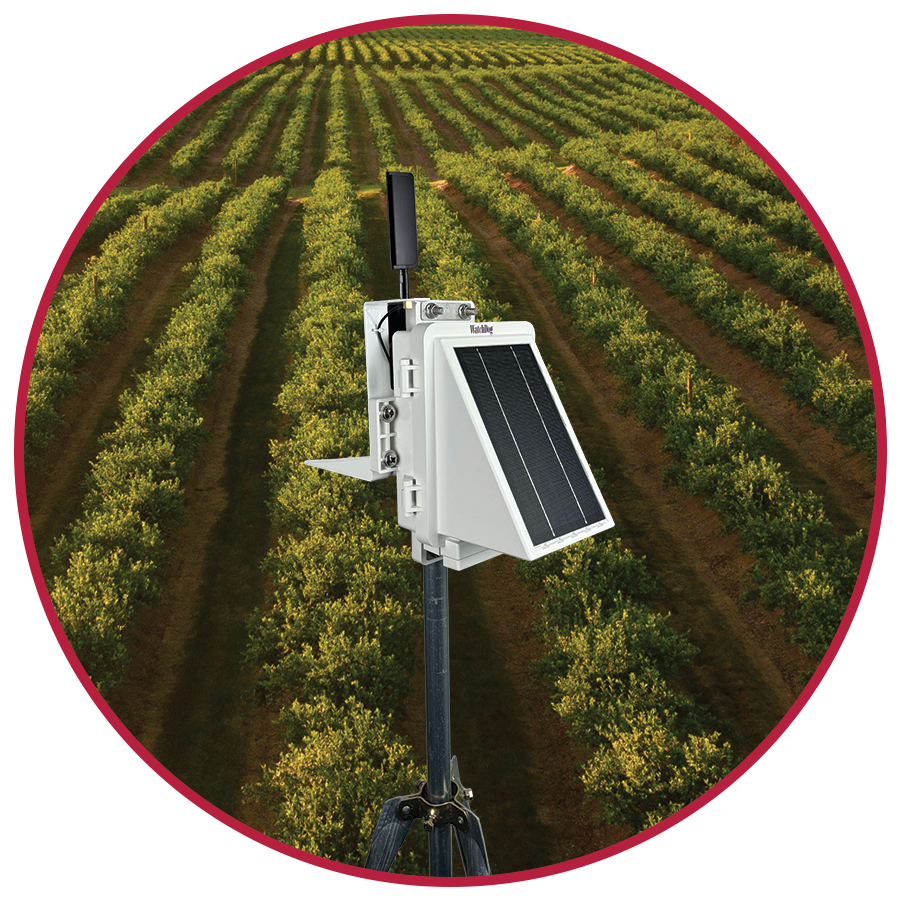 3000 Series - WatchDog Wireless Sensor Station (LTE-CAT4) (No ...